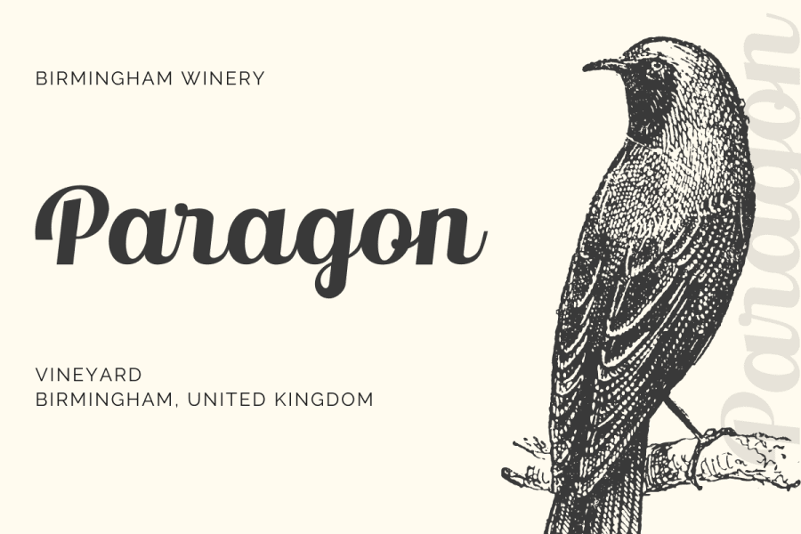 2 Free Script Logo, Wedding Fonts · 1001 Fonts