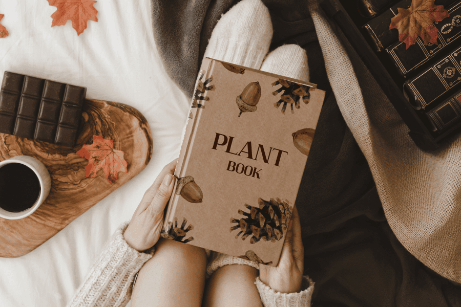 Cremiline Font · 1001 Fonts