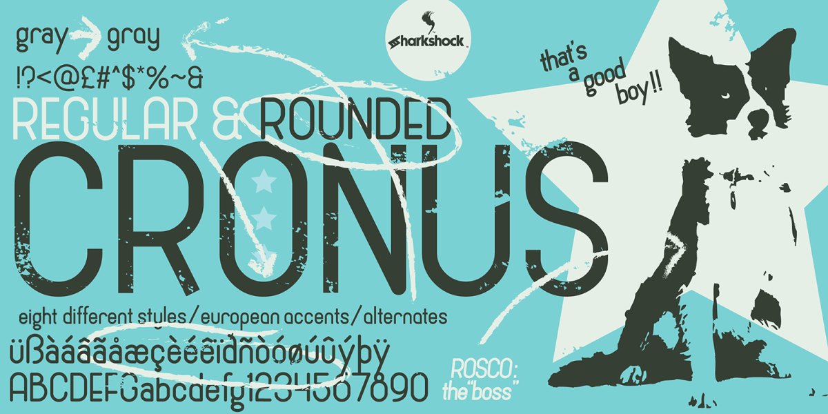 Cronus Font Family · 1001 Fonts