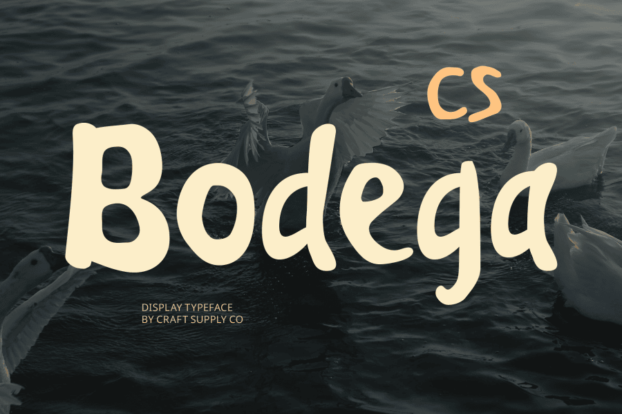 CS Bodega Demo Font · 1001 Fonts