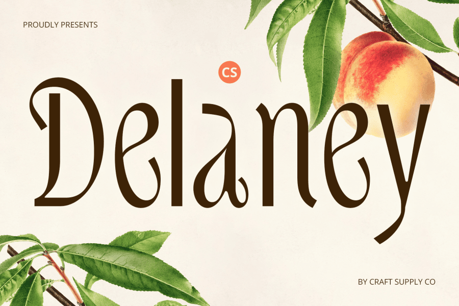 CS Delaney Demo Font · 1001 Fonts