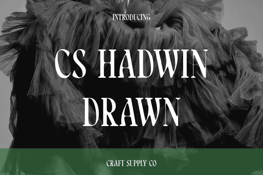 CS Hadwin Drawn Demo Font · 1001 Fonts