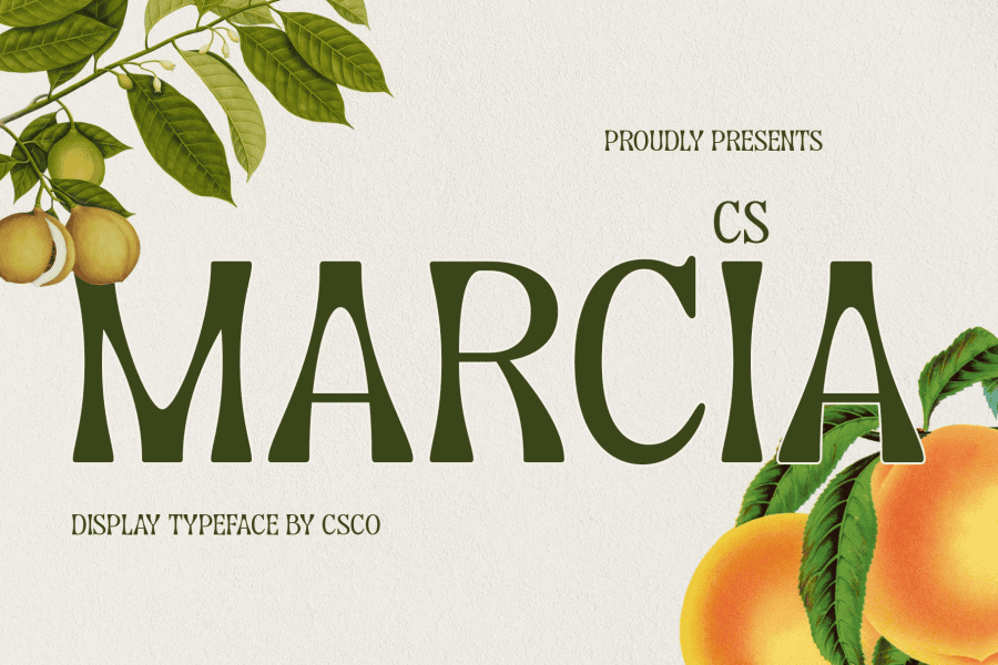 CS Marcia Demo Font · 1001 Fonts