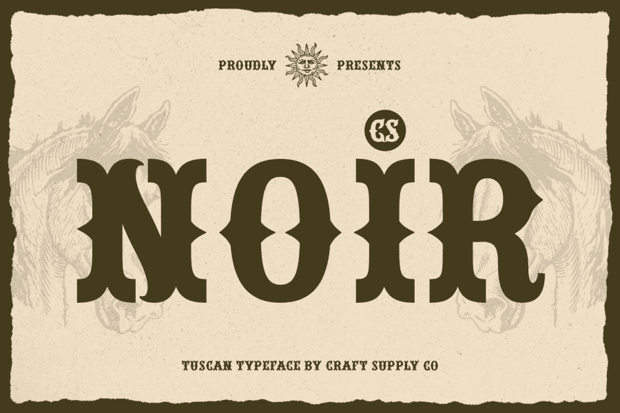CS Noir Demo Font · 1001 Fonts