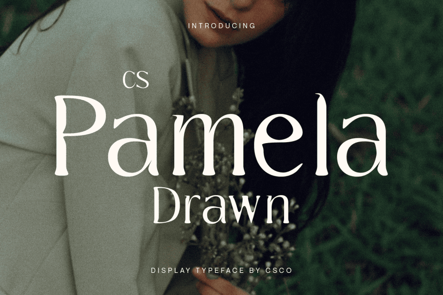 CS Pamela Drawn Demo Font · 1001 Fonts