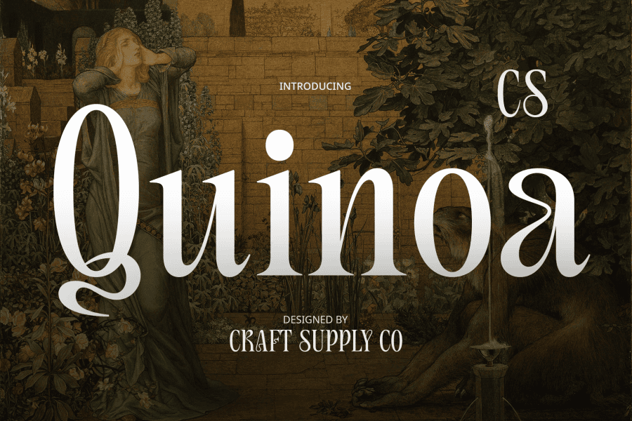 CS Quinoa Demo Font · 1001 Fonts