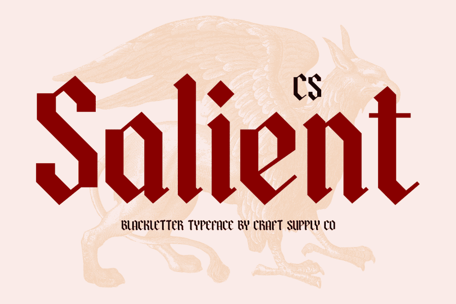 CS Salient Demo Font · 1001 Fonts