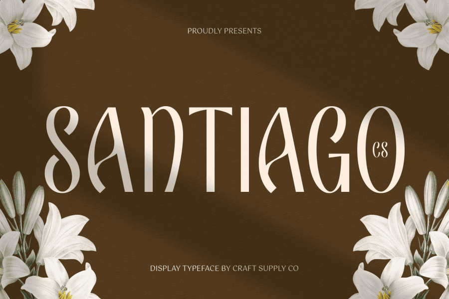 CS Santiago Demo Font · 1001 Fonts