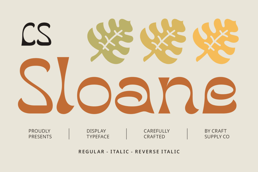 CS Sloane Demo Font · 1001 Fonts