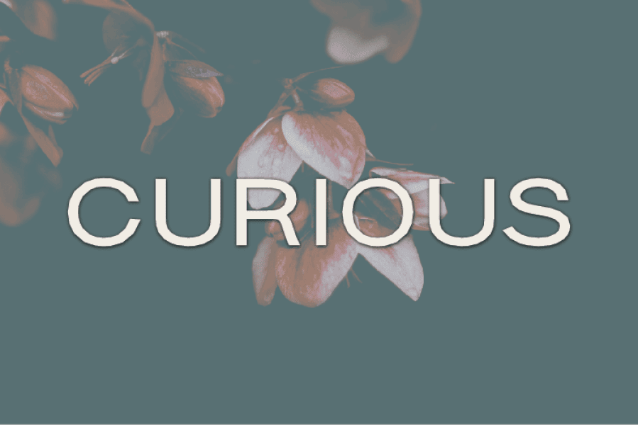 Curious Font · 1001 Fonts