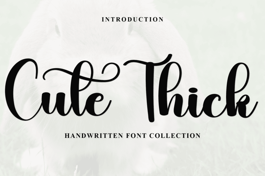 Cute Thick Font · 1001 Fonts