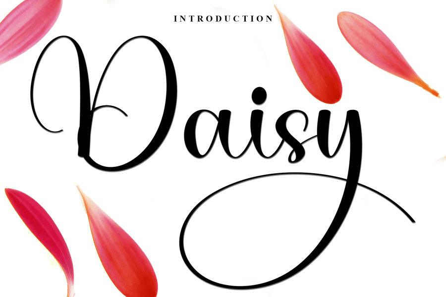 Daisy Beauty Font · 1001 Fonts