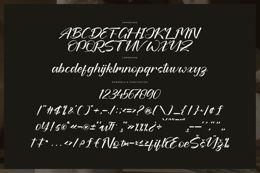 Daltomy Fabiola DEMO VERSION Font Family · 1001 Fonts