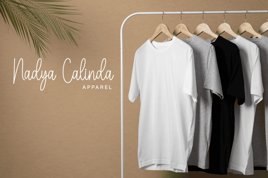 Daniela Signature Font · 1001 Fonts