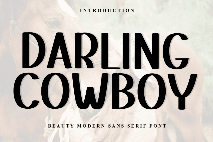Darling Cowboy Font · 1001 Fonts
