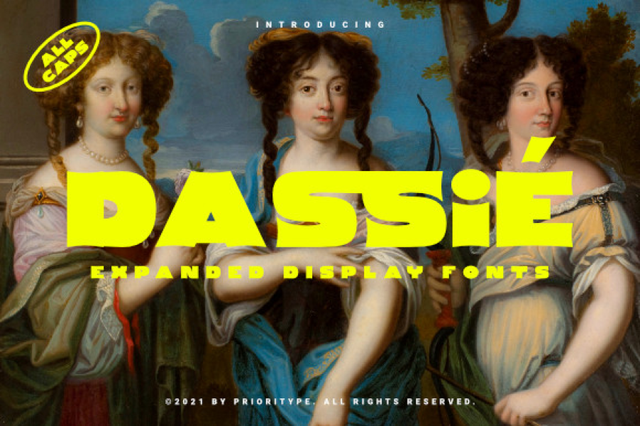 Dassie DEMO Font · 1001 Fonts