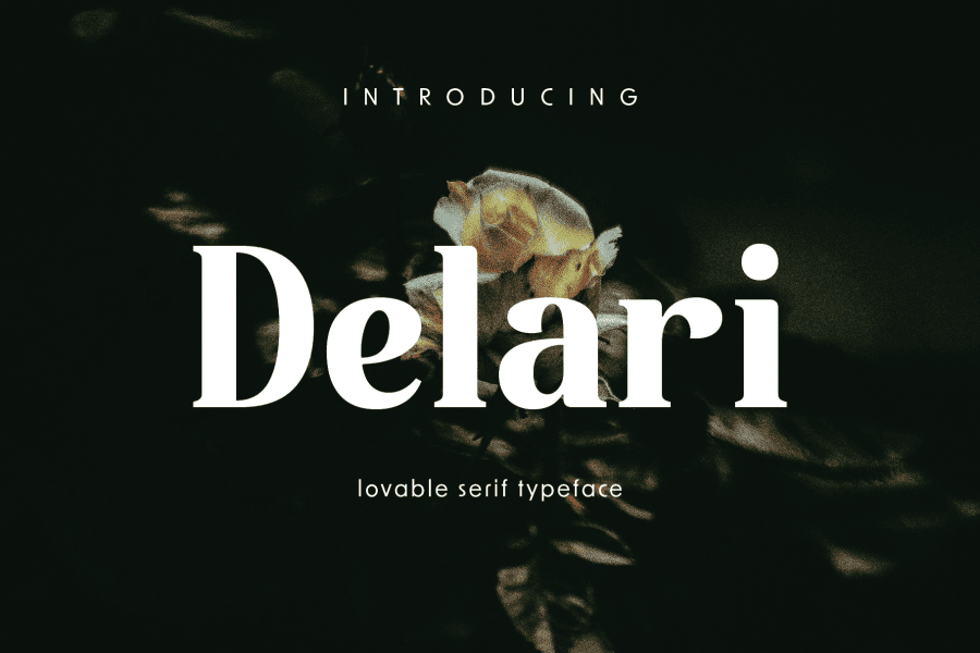 Delari Font · 1001 Fonts