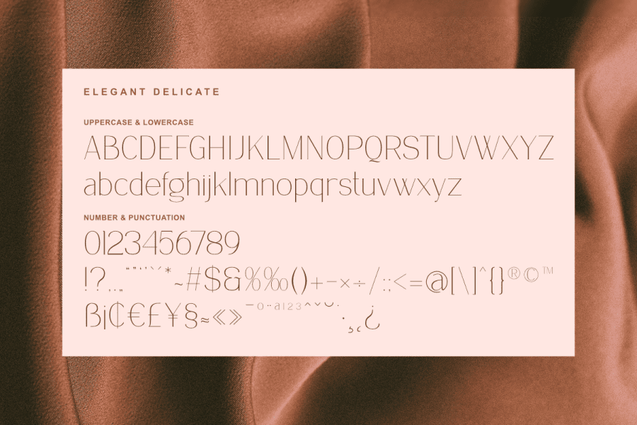Delicate Elegance Font Family · 1001 Fonts