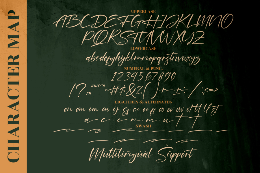 Delight Font Family · 1001 Fonts