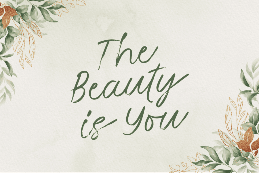 Dilem Font · 1001 Fonts