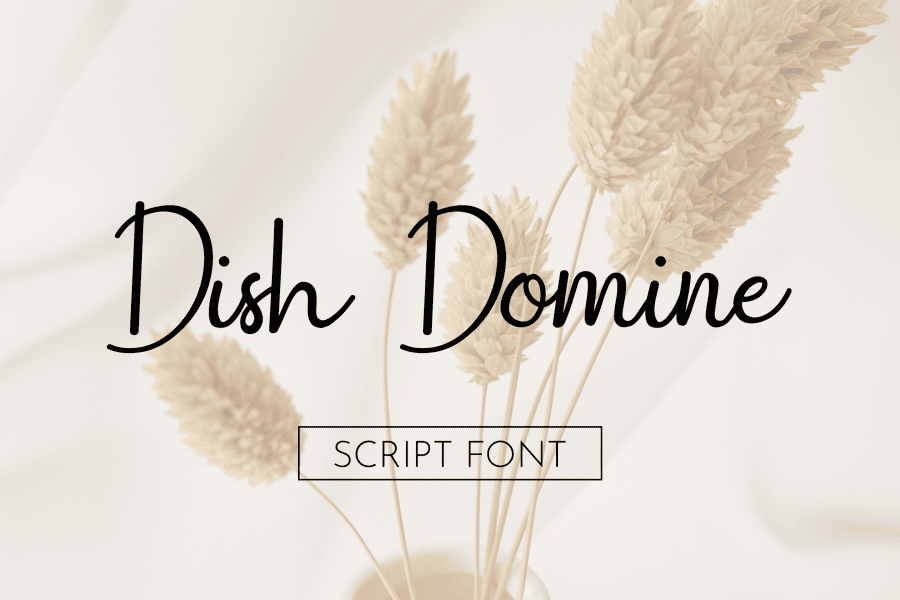 Dish Domine Font · 1001 Fonts