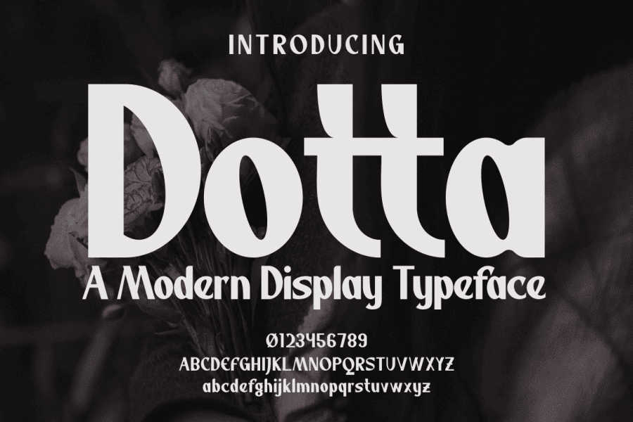 Dotta Font · 1001 Fonts
