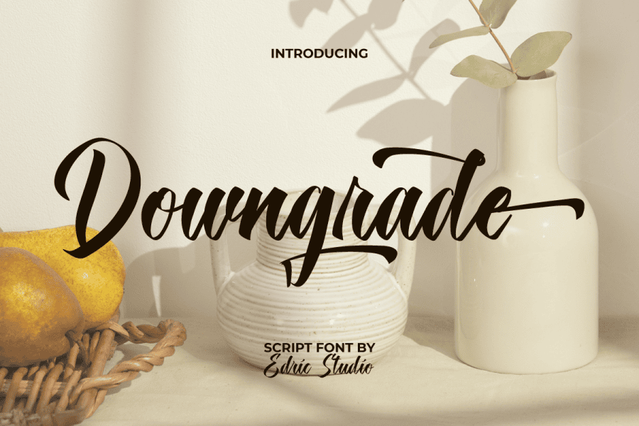 Downgrade Demo Font · 1001 Fonts