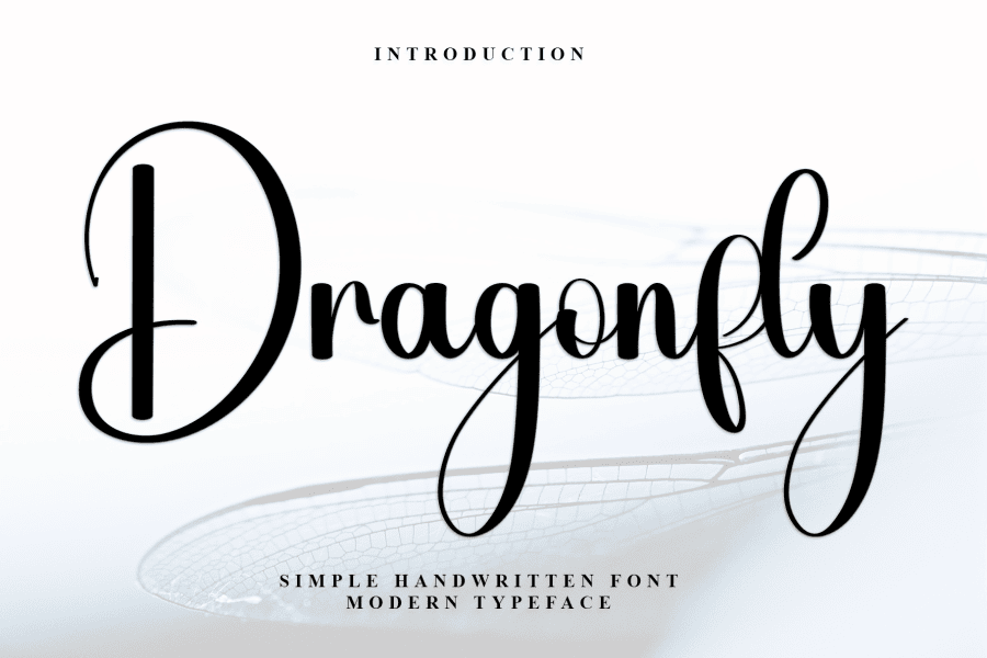 Dragonfly Font · 1001 Fonts