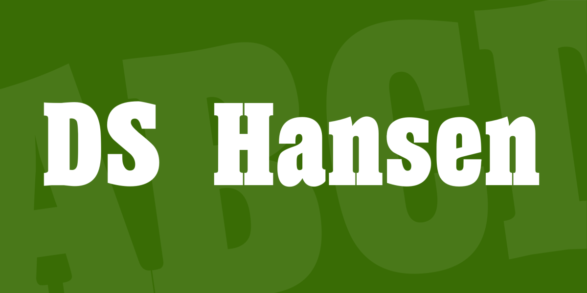 DS Hansen Font · 1001 Fonts
