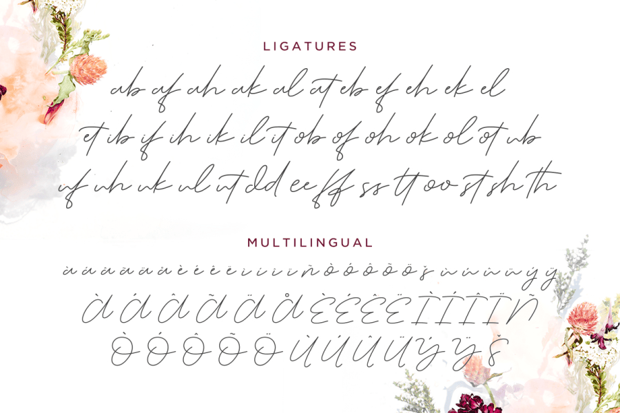 DS Serenity DEMO Font · 1001 Fonts