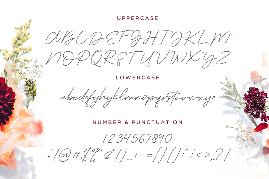 DS Serenity DEMO Font · 1001 Fonts