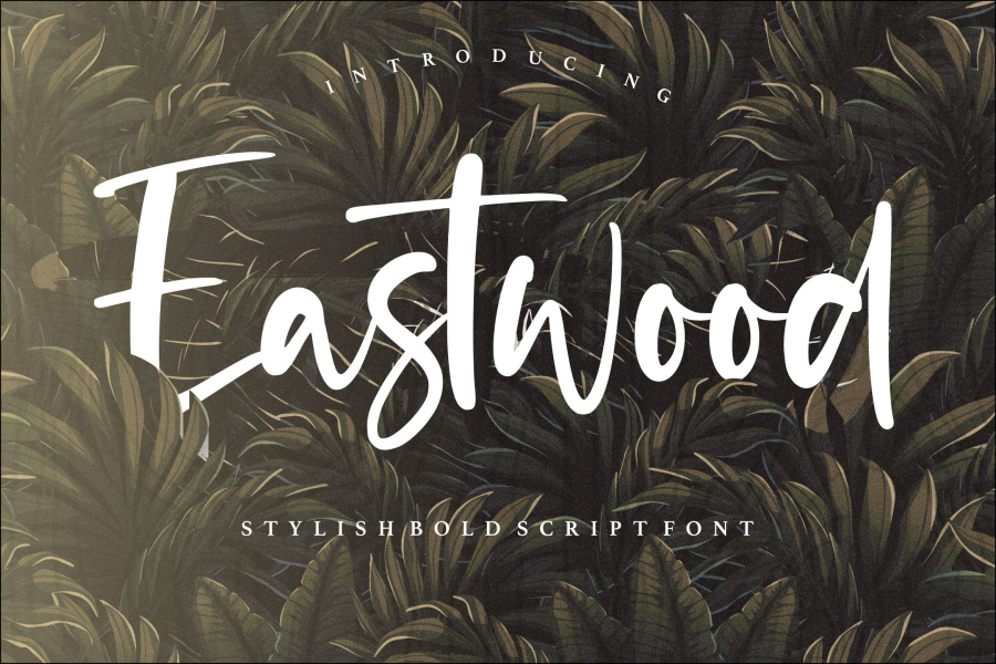 Eastwood Font · 1001 Fonts