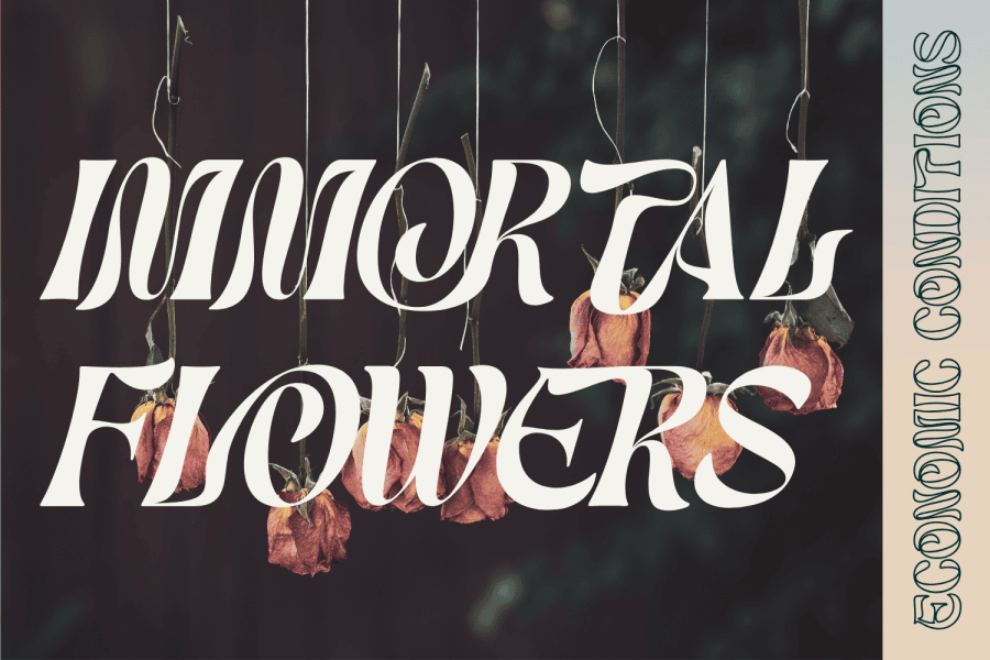 Economic Conditions Demo Font · 1001 Fonts