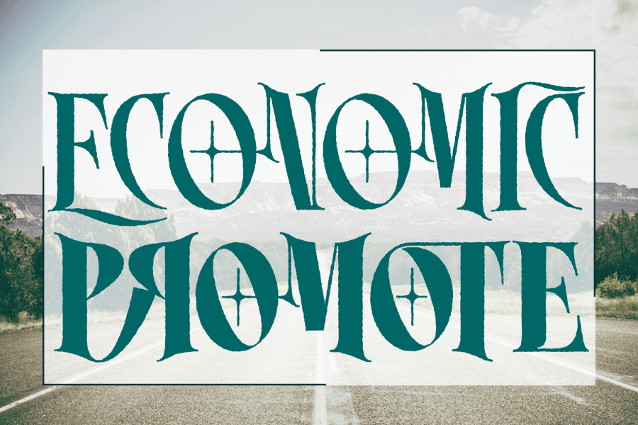 ECONOMIC PROMOTE DEMO Font · 1001 Fonts