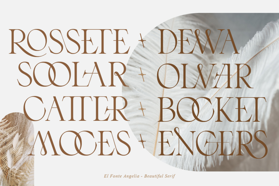 El Fonte Angelia Font Family · 1001 Fonts
