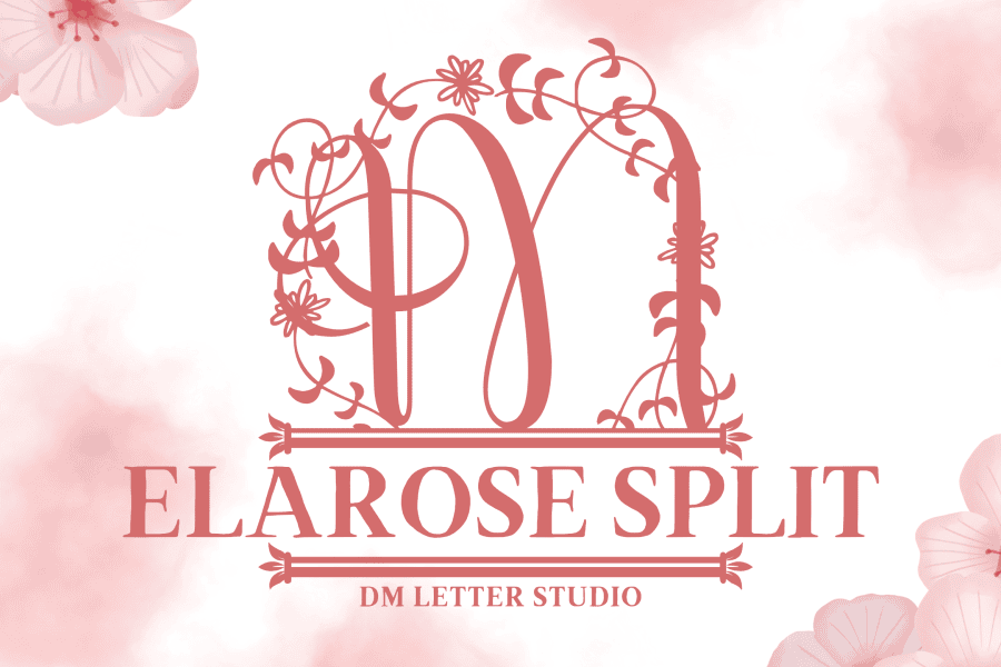 1 Free Hand Drawn Rose, Procreate Split Monogram, Serif Font · 1001 Fonts