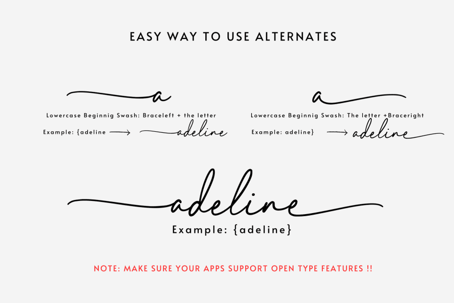 Elegant Lady Font · 1001 Fonts