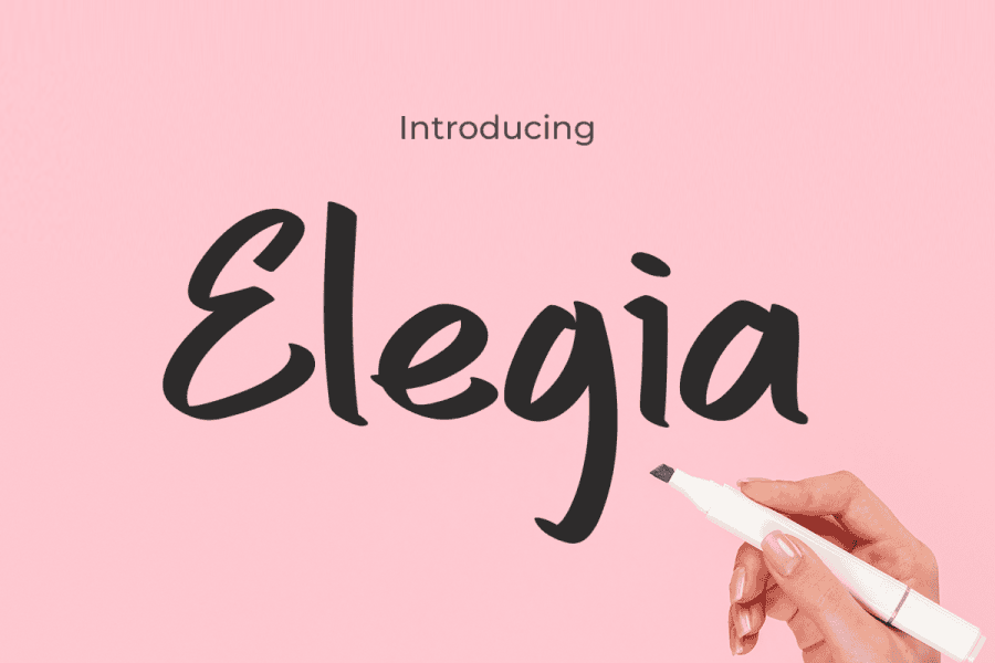 Elegia Font · 1001 Fonts