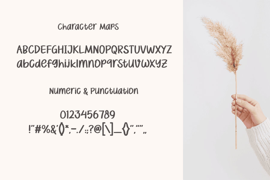 Eliana Font · 1001 Fonts