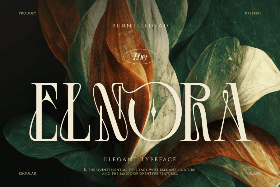 Elnora Font Family · 1001 Fonts