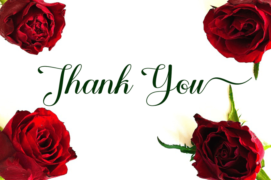 Elora Font Family · 1001 Fonts