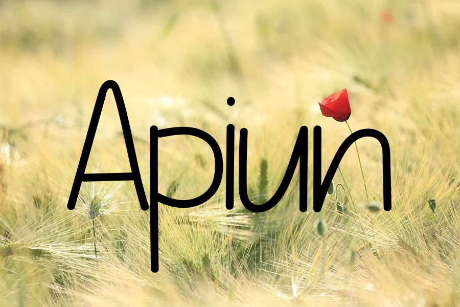 2 Free Body Text, Cursive, Sunflower Fonts · 1001 Fonts