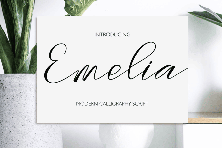 Emelia Script Font · 1001 Fonts
