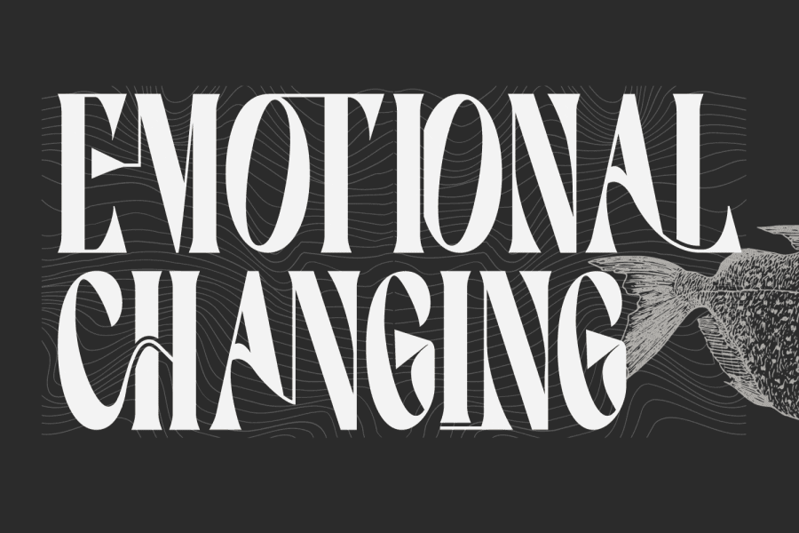 EMOTIONAL CHANGING DEMO Font · 1001 Fonts