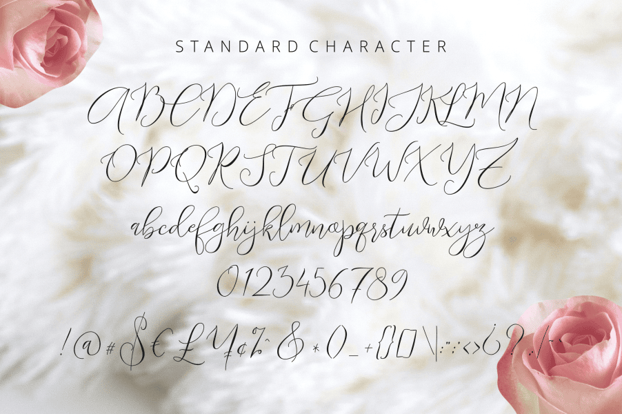 Endless Font · 1001 Fonts