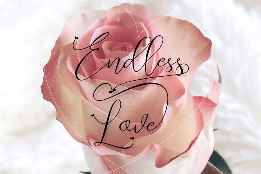 Endless Font · 1001 Fonts