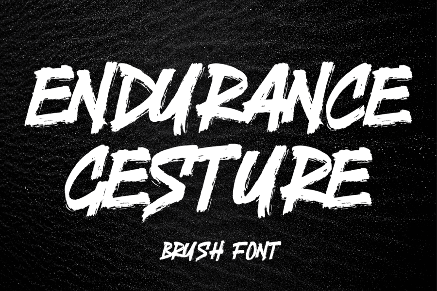 Endurance Gesture Font · 1001 Fonts