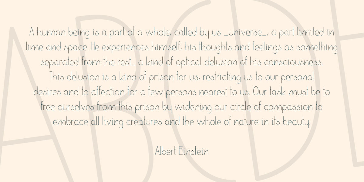 Ensure Font Family · 1001 Fonts