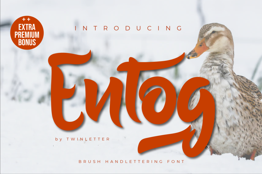 Entog Font · 1001 Fonts