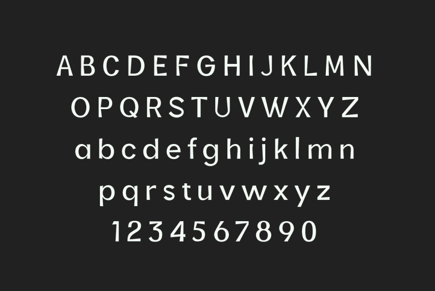 Ervha Font Family · 1001 Fonts